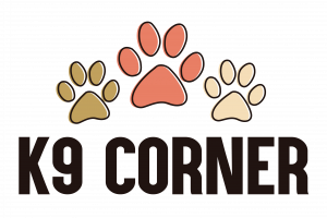 Unleashing Furry Fun: CRR Hospitality Rolls Out K9 Corner, the Ultimate ...