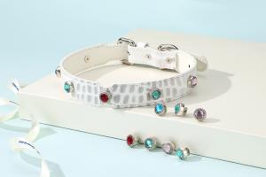 Xparkles Celebrates Prestigious Muse Design Award For Innovation in Dog ...