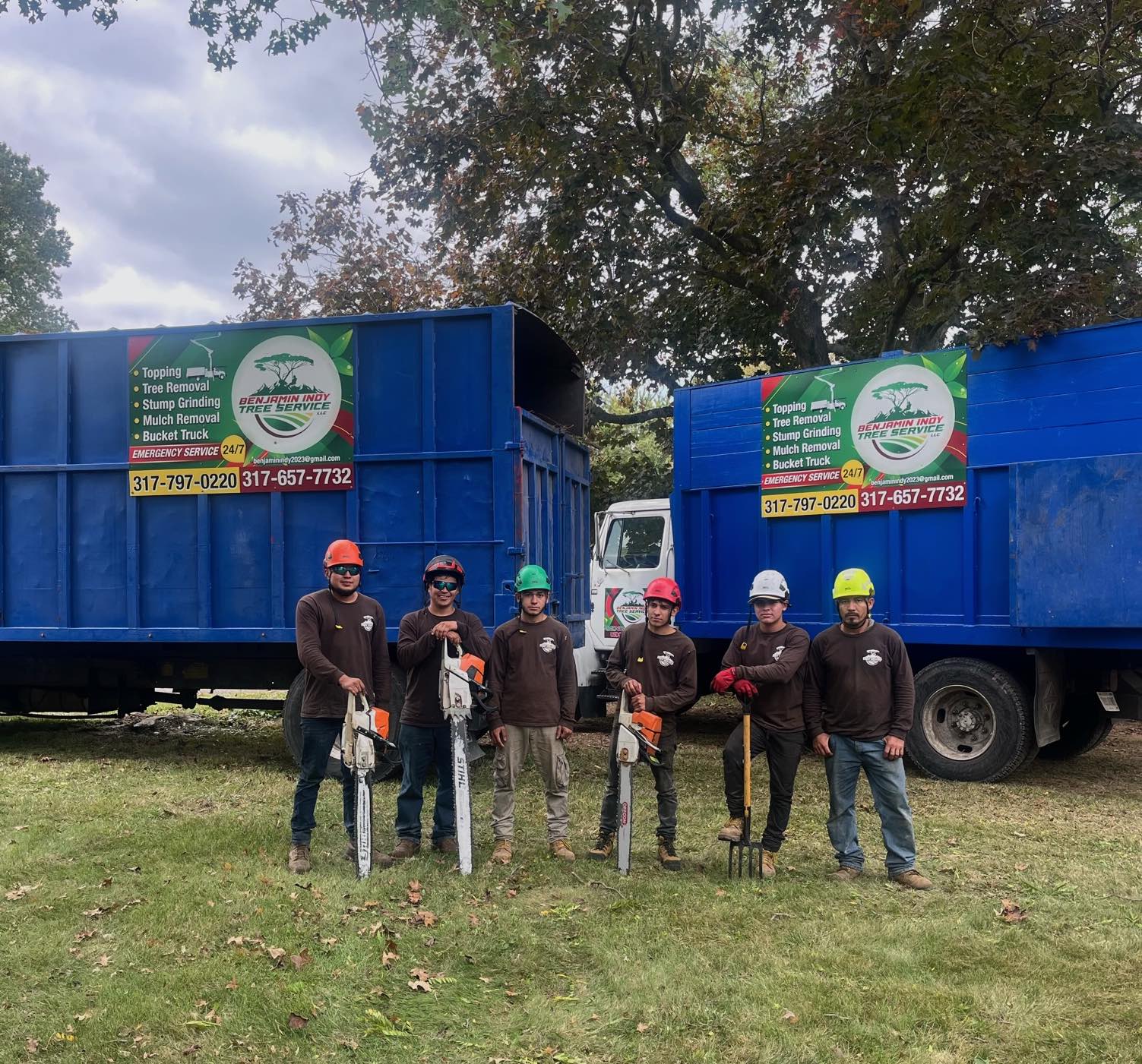 Benjamin Indy Tree Service Announces Pioneering Partnership with Tree Leads Today to Usher in a ...