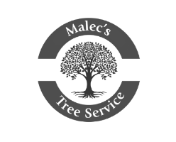 Malec's Tree Service Expands its Reach and Efficiency through Strategic ...