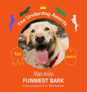 Introducing Juniper: The First Online Community and Website for ...