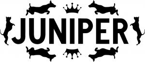 Introducing Juniper: The First Online Community and Website for ...