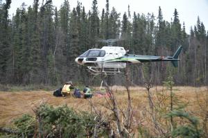 Carbonethic commences forestry analysis of the Dene KÊ¼Ã©h KusÄ n ...