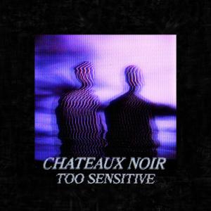 Rising Indie Pop Rockers, Chateaux Noir, Release Dreamy New Single â ...