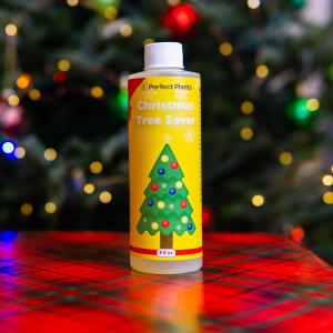 Florida Farmer Shares His Secret to a Green Christmas Tree All Holiday ...