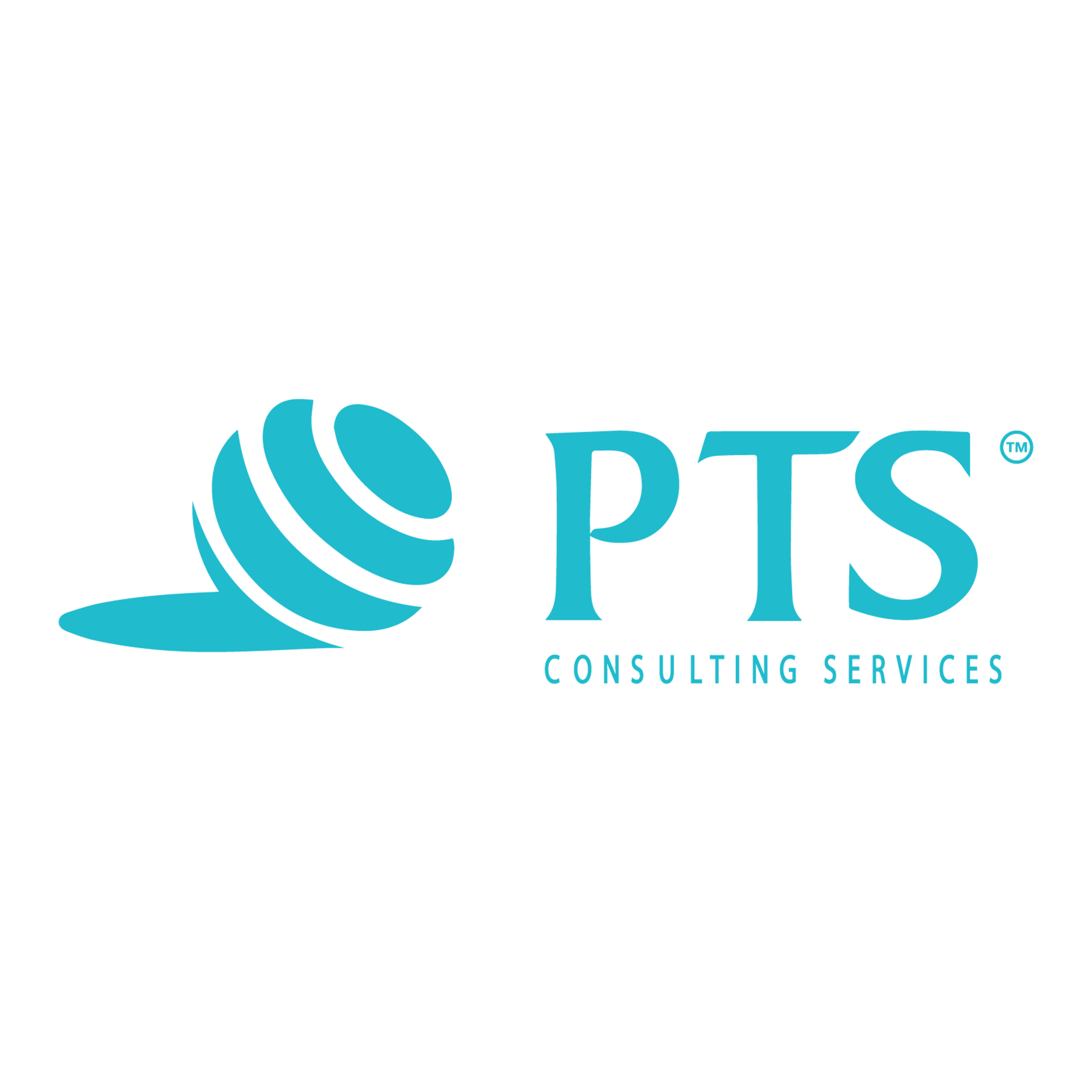 Pts Consulting Logo Chicago Based IT Services And IT Consulting