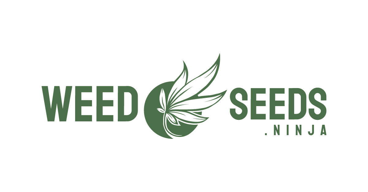 Seed Co Logo