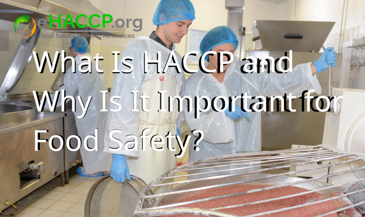 HACCP Training and Certification: Managing Risk in Food Preparation | World Food Services Journal
