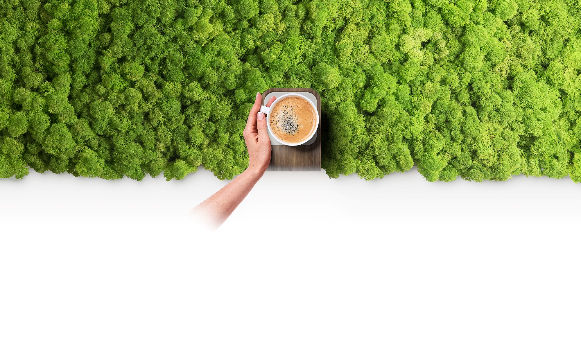 Redefining Home Decor: BioDisplay™ Integrates Nature into Everyday ...