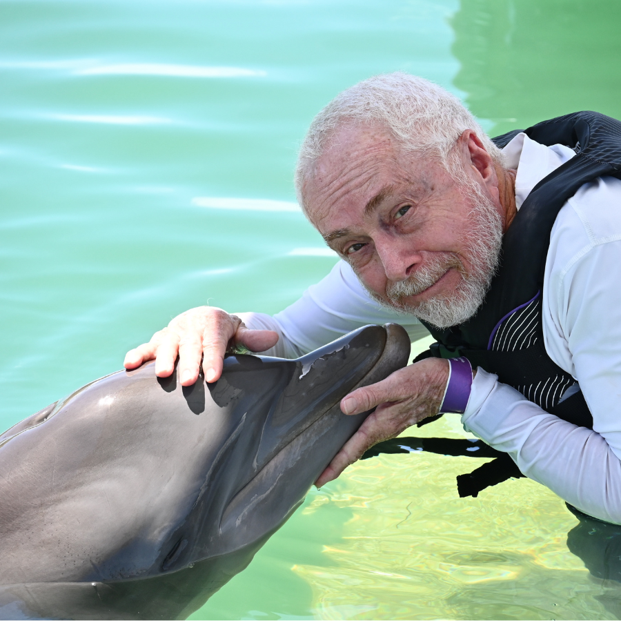 Dolphin Connection, an Exclusive Experience in the Florida Keys ...