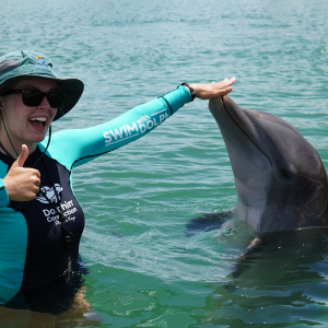 Dolphin Connection, an Exclusive Experience in the Florida Keys - AFV NEWS