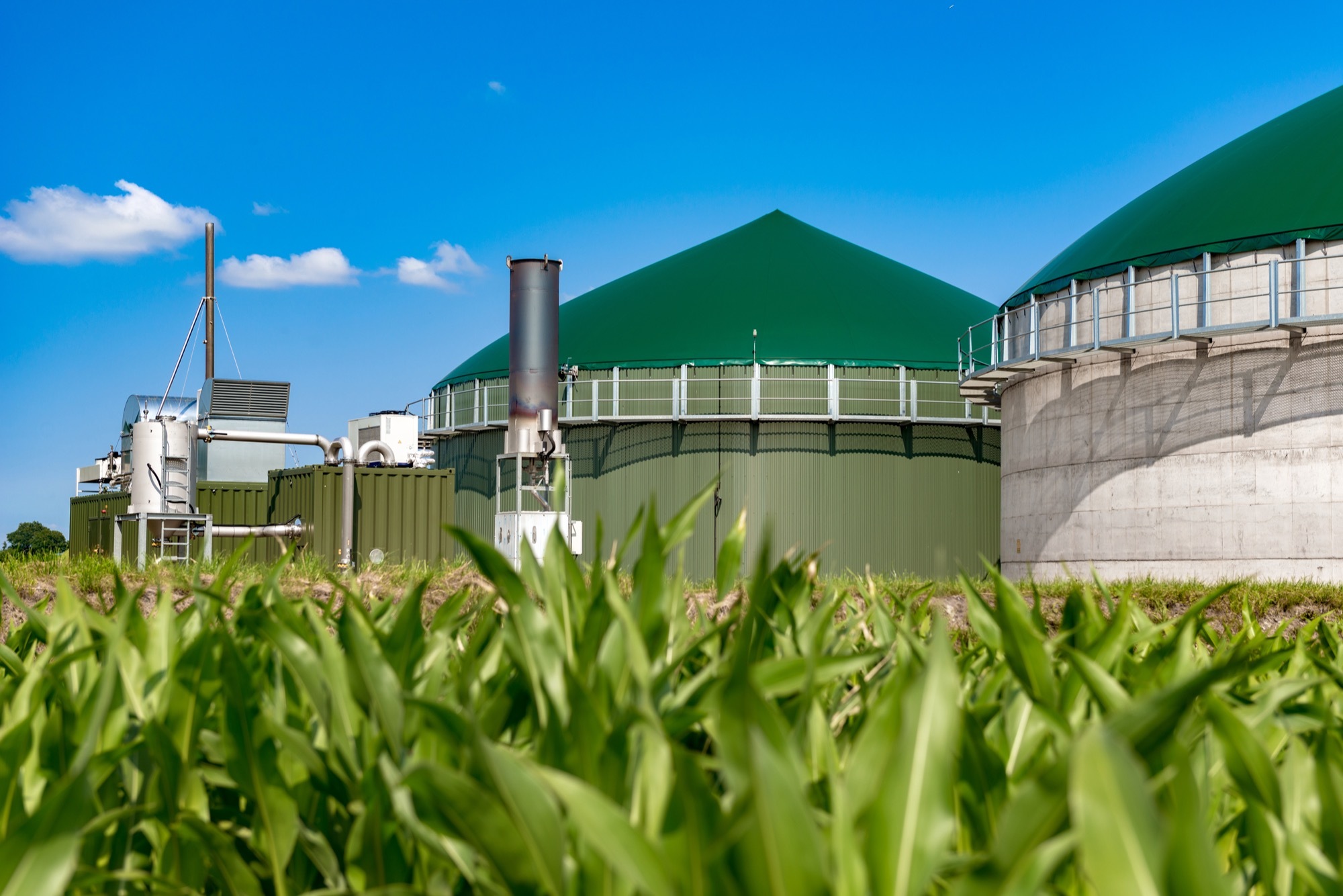 Renewable energy production – biogas as a promising resource | World ...