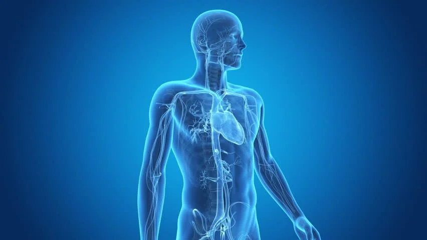 Visualizing Health: Exploring Innovations in the Medical Animation ...