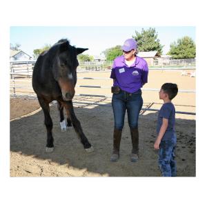 Michelle Goss of Spirit Mountain Healing Services to be Featured on ...