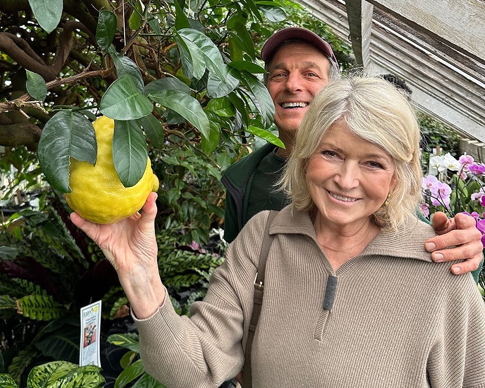 Logee’s Reveals How to Grow Edible Houseplants and Potted Fruit Trees ...