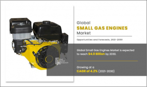 Small Gas Engine Market: Small Engine, Big Impact | NA (North America ...