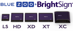 BlueZoo Inc Delivers its Audience Measurement Technology to Retailers ...