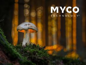 Macalat®: A New Category Emerges in the Chocolate World, Thanks to a ...