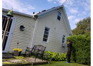 ProClean Pressure Washing of Royal Oak Redefines Local Cleanliness ...