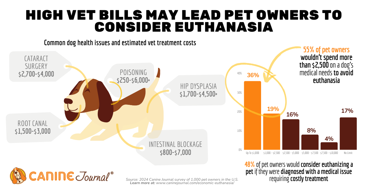 Animal Euthanasia Statistics