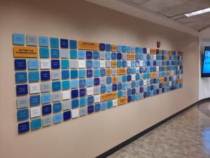 Healthcare Art Consulting & Quality Art House Announce Focus on ...