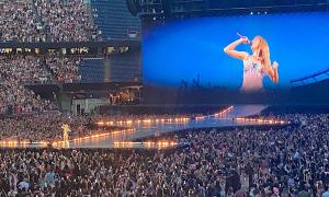 Navigating the Performing Arts Landscape with Live Entertainment Guide ...