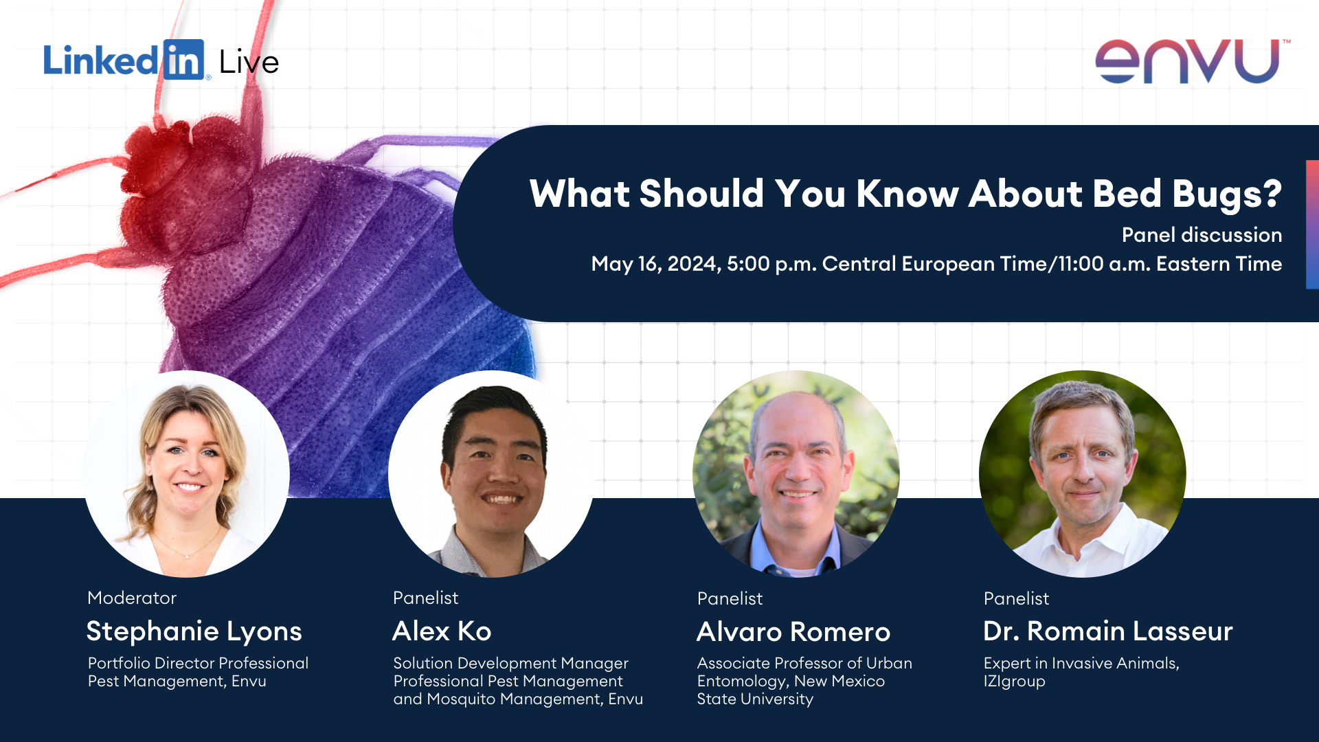 Bed Bugs: Spotting Unwelcome Pests Before Guests | Paris Daily Reporter