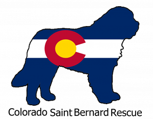 St Bernard Rescue Flourishes in Colorado