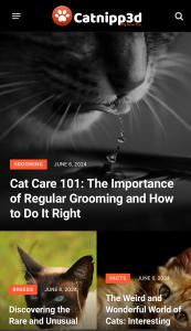 Homeless Man Launches Website Dedicated to Cats After Successful ...