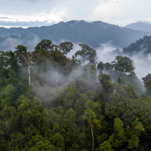 Anton/Bauer Launches 'Preservation Power' Campaign in Partnership with ...