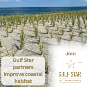 Gulf of Mexico Alliance announces 13 new projects making a positive ...
