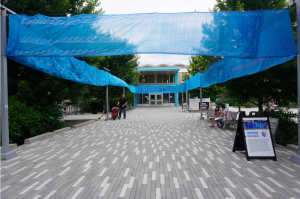 Monica Jahan Bose's SWIMMING: Transforming Public Spaces with Art and ...