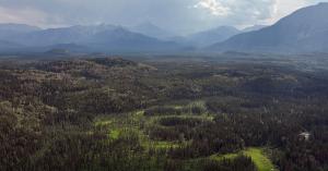 Carbonethic and Dease River First Nation Sign Landmark Agreement for ...