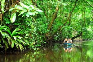 Hoteleusâ€™ Odyssey: Navigating the Wonders of â€˜Costa Rica Group ...
