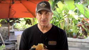 Ballistic BBQ's Greg Mrvich Shares His Wagyu Burger Recipe in New ...