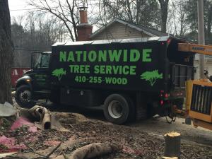 Nationwide Tree Service Extends Heartfelt Support to Maryland ...