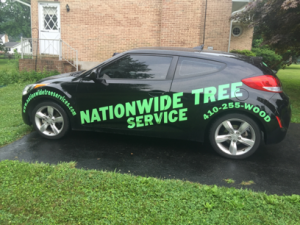 Nationwide Tree Service Extends Heartfelt Support to Maryland ...