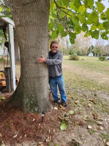 RWA Solutions Celebrates the Carbon Credit Registration of VIP 3 Tree ...