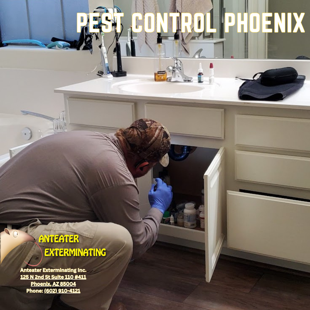 Anteater Exterminating Inc. Marks 29 Years in Pest Control Phoenix ...