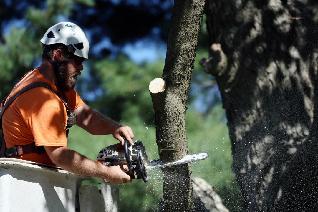 Williams Tree Company Undergoes Electrical Hazard Awareness Training to ...