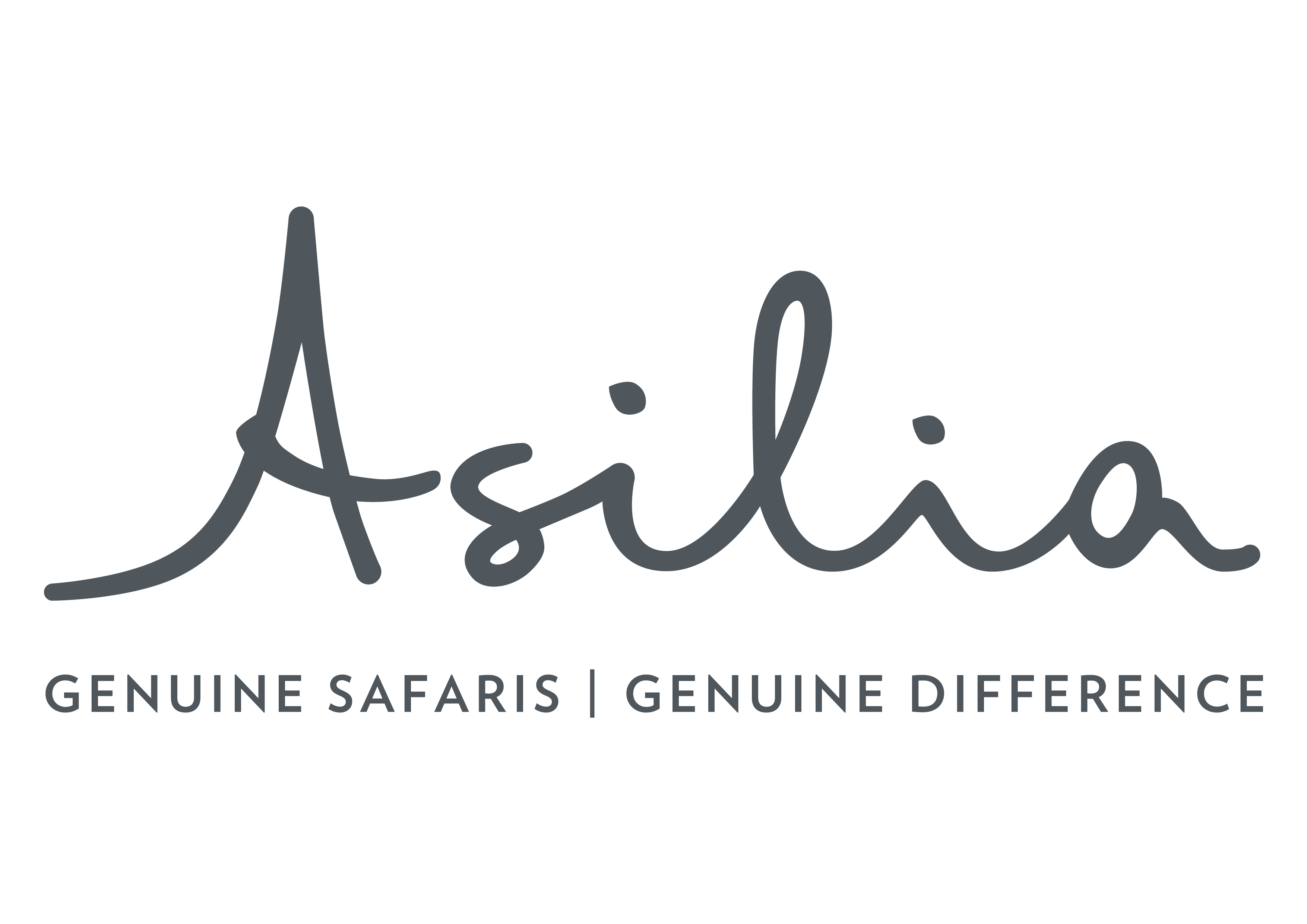 Asilia Africa Include Asilia In Your Safari Safaris And Expeditions