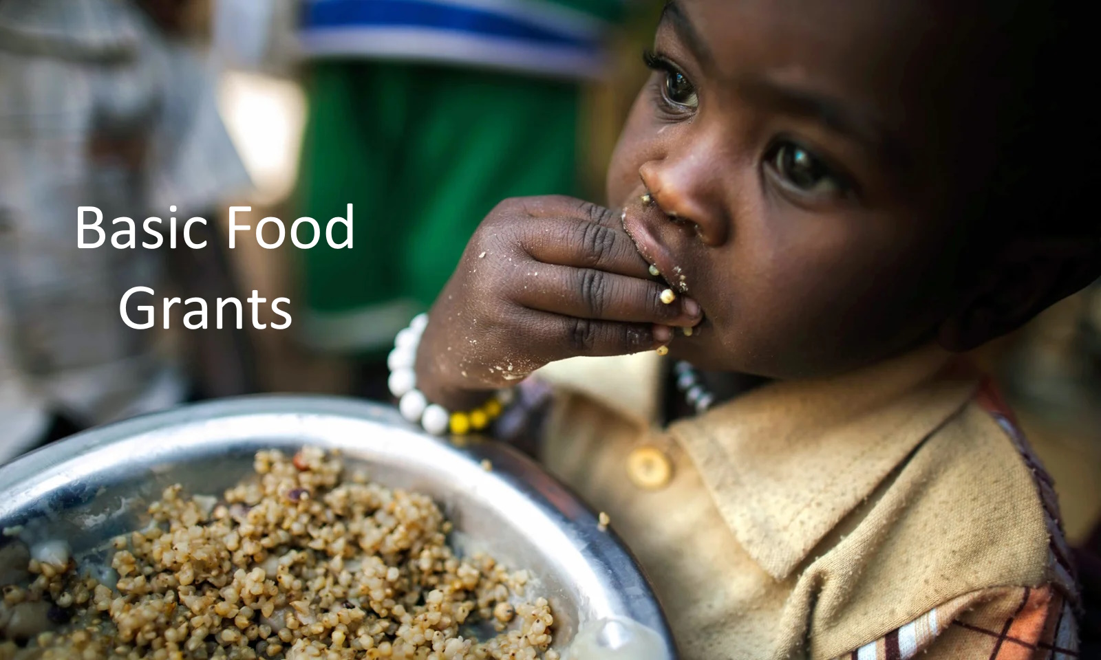 NGO Announces Breakthrough Solution for Poverty, Food Insecurity ...