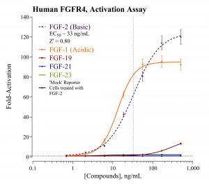 INDIGO Biosciences Launches Family of FGFR4 Reporter Assays for ...