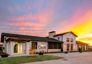 Spring to life with us at the Cadia Sherman Grand Opening