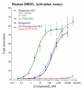 INDIGO Biosciences Launches Dopamine Receptor D1 Reporter Assay for ...