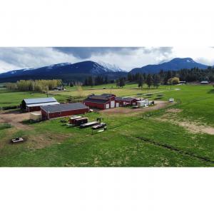 Dillon Kouf of Double K Ranch Recently Featured on Close Up Radio - AFV ...