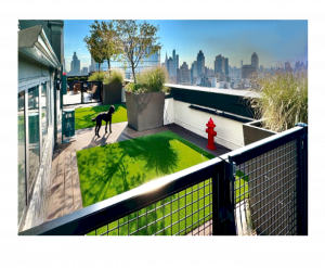 Pup-Grass® Artificial Grass for Dogs: Now offering Installation ...