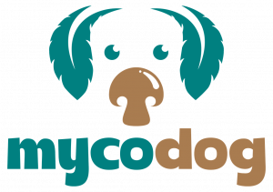 MycoDog Launches Nourish: First-Ever Hemp + Mushroom Balm Stick for ...