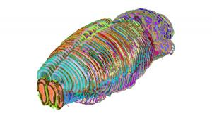 Scientists Create ChatGPT-like AI Model for Neuroscience to Build One ...