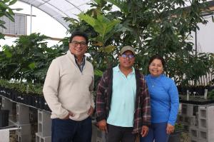Everglades Farm Reveals Top Medicinal Plants and Fruit Trees Driv